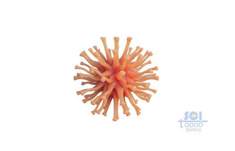 单体神经元细胞 镇江图研科技有限公司