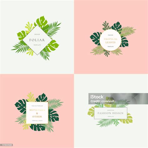 몬스 테라 트로피컬 나뭇잎 패션 표지판 또는 엠블럼 템플릿 세트 황금 테두리와 고급스러운 타이포그래피가 있는 추상 단풍 파스텔 배경 0명에 대한 스톡 벡터 아트 및 기타