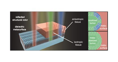 Guided Mode Resonant Dielectric Metasurfaces For Colorimetric Imaging