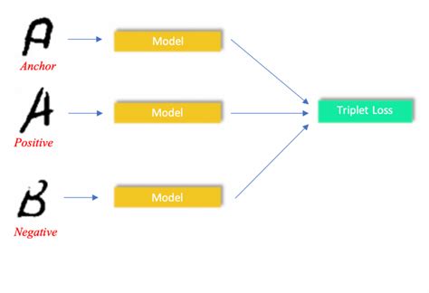 Siamese Networks Introduction And Implementation Towards Data Science