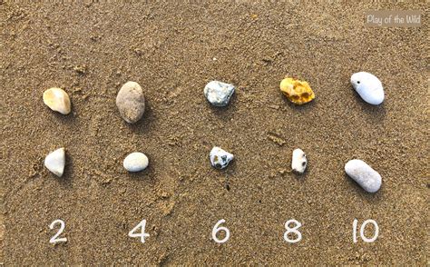 Outdoor Maths Activities Ks1 Maths Outdoor Learning Play Of The Wild