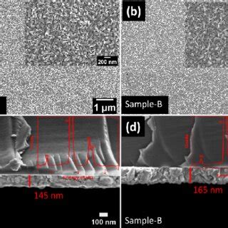 SEM Micrographs Of A Sample A And B Sample B Crosssectional SEM Of Download Scientific