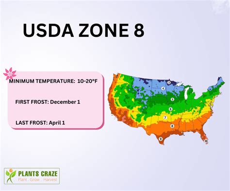 What To Plant In Zone 8b At Michiko Durbin Blog