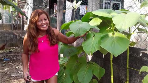 La Juniapa De Honduras Youtube