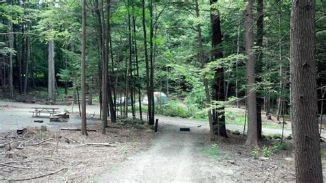 Friday And Saturday Nights Review Of Fort Dummer State Park