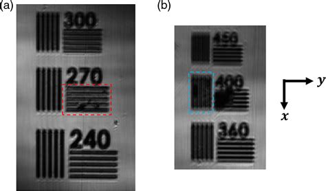 Mirau Based Line Field Confocal Optical Coherence Tomography For Three