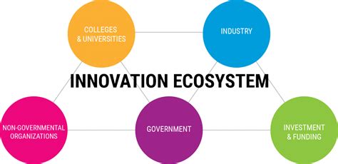 What Is An Innovation Ecosystem