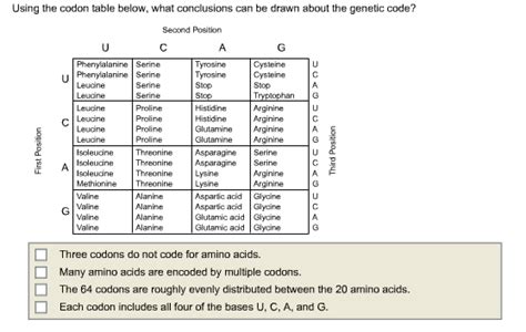 Solved Using The Codon Table Below What Conclusions Can Be