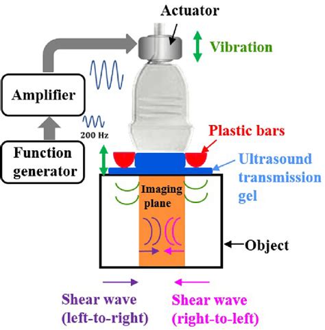 illustration diagram of the shear wave generation a 200 hz sinusoidal download scientific