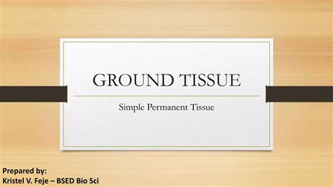 Ground Tissue Pptx