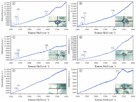 Laser Raman Spectra For Representative Fluid Inclusions Fis From The Download Scientific