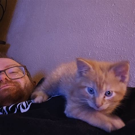 Rip Dick I Acknowledge Psychedelic Class Warfare Exists Facebook