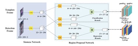 High Performance Visual Tracking With Siamese Region Proposal Network