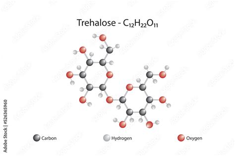 Molecular Formula And Chemical Structure Of Trehalose Stock Vector Adobe Stock