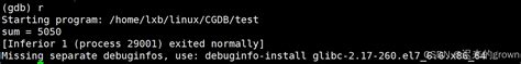 初识linux —— 调试程序 linux如何调试程序 csdn博客