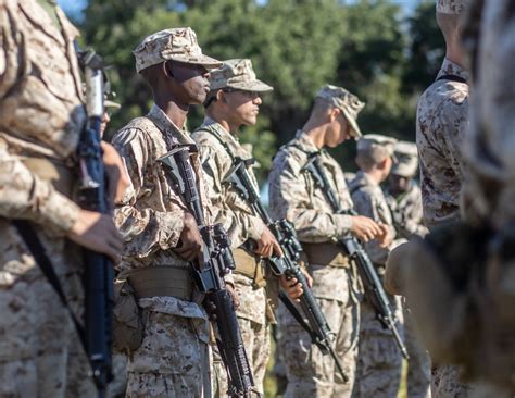 Dvids Images Delta Company Grass Week Image 1 Of 4