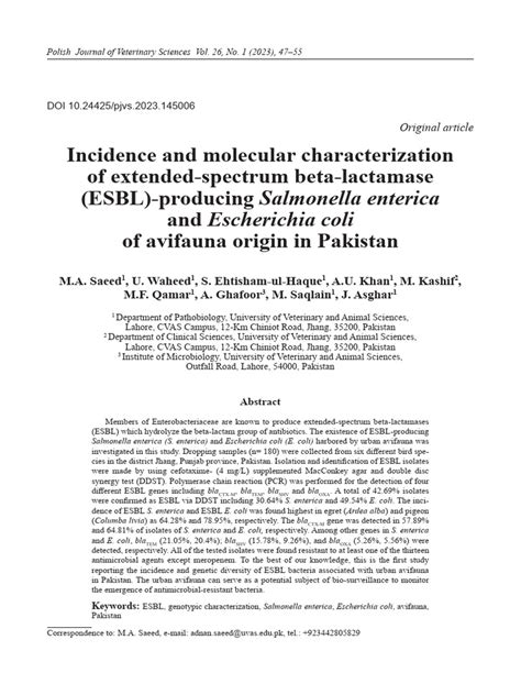 Incidence And Molecular Characterization Of Extended Spectrum Beta Lactamase Esbl Pdf Beta