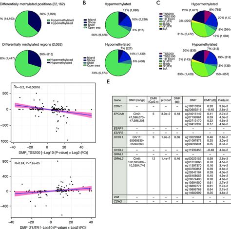 Differential Dna Methylation Analysis For Hcc827 Cells With