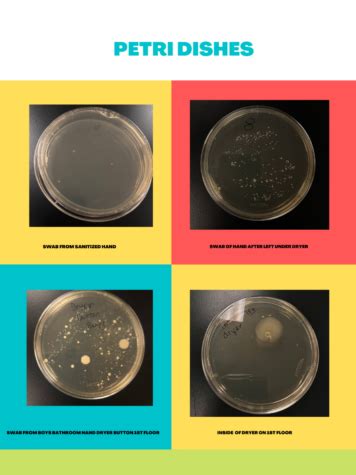 Bacteria Breaches The Bathrooms The North Star