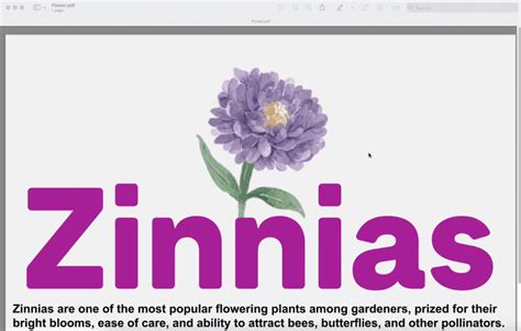 How To Extract Text From Images In PDF Smallpdf