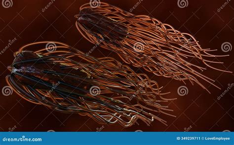 Proteus Mirabilis Bacteria Under A Microscope Ai Generated Royalty Free Cartoon Cartoondealer