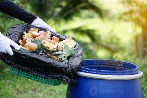 Gardener Holds Organic Garbage Rotting Kitchen Scraps With Fruits And