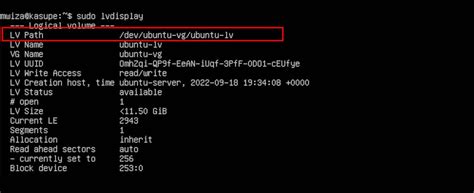 how to extend logical volumes on ubuntu server