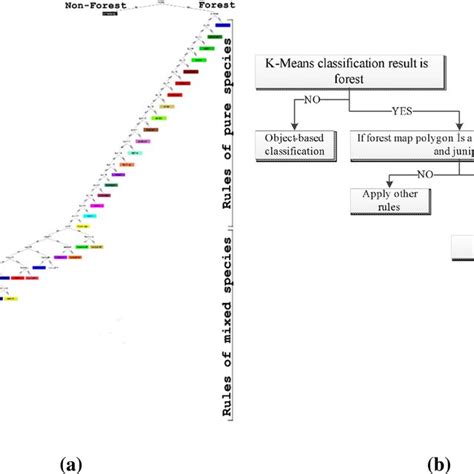 A Hierarchy Of Decision Tree Structure In The Study B Sample Rule Of