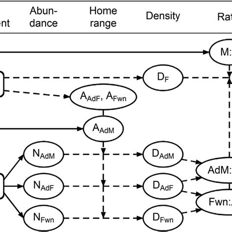 Structure Of Integrated Modeling Combining Fecal Dna Fdna Camera