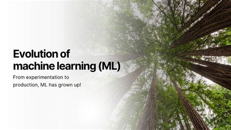 Text Preprocessing Techniques In Nlptokenization Lemmatization And