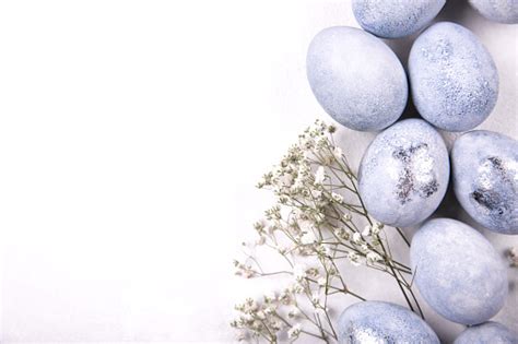 밝은 배경에 파란색 색깔의 계란과 꽃입니다 파스텔 색상의 세련된 최소한의 구성 부활절 개념입니다 플랫 레이 상단 보기 공간을 복사합니다 개념에 대한 스톡 사진 및 기타