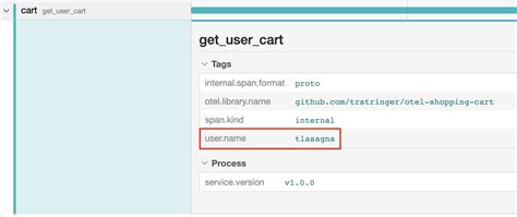Observability With Opentelemetry Part 2 Instrumentation Thomas Stringer