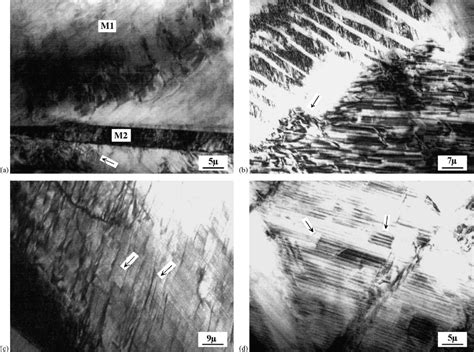 C Shows Only Some Parallel Dislocation Lines In Download Scientific