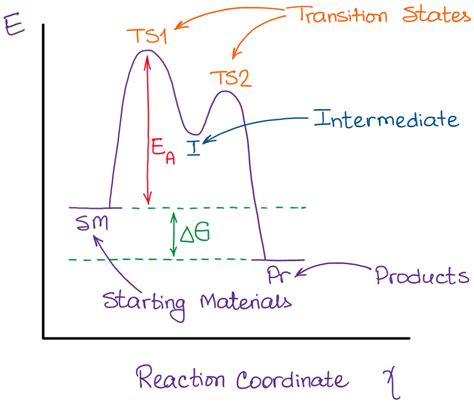 What Is The Difference Between A Transition State And An Intermediate