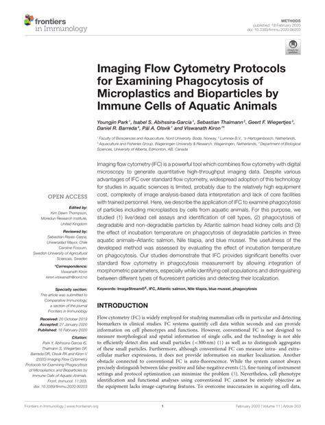 Pdf Imaging Flow Cytometry Protocols For Examining Phagocytosis Of