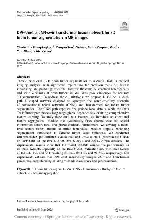 Dpf Unet A Cnn Swin Transformer Fusion Network For 3d Brain Tumor