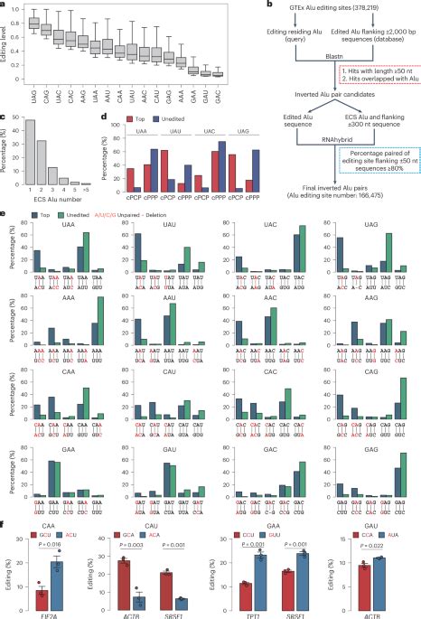 Improved Rna Base Editing With Guide Rnas Mimicking Highly Edited… Ken Seidenman