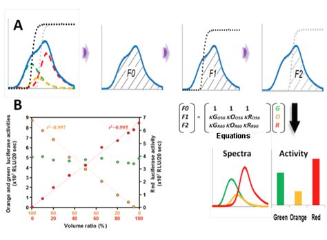 Applications Of Bioluminescence