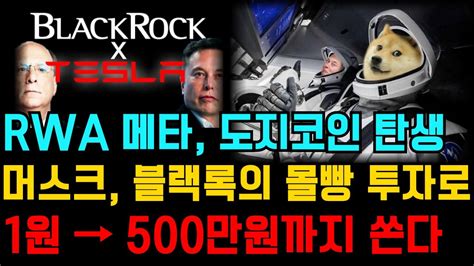 코인추천 Rwa 메타의 도지코인 탄생 일론 머스크의 투자로 지금 1원에서 500만원까지 터진다 Youtube
