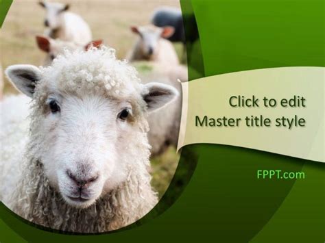 Free Sheep Powerpoint Template Free Powerpoint Templates Free Sheep Powerpoint Template Free Powerpoint Templates