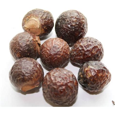 Sapindus Mukorossi Dried Aritha Nut Packaging Type Loose At Rs 90kg In Waghodia