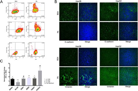 Population Effect Of Pa On Emt Marker Expression A Density Plots Download Scientific
