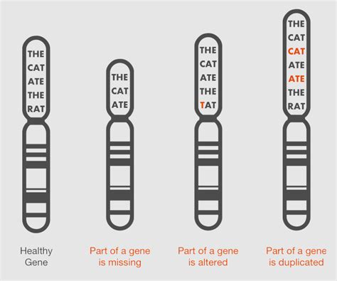 What Is Foxg1 Syndrome