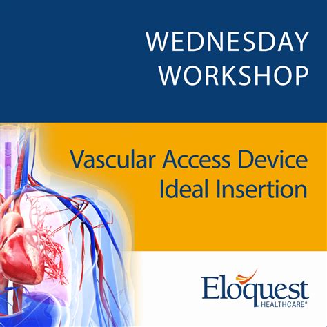 Vascular Access Device Ideal Insertion Eloquest Healthcare Inc
