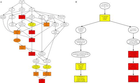 Directed Acyclic Graph Of Go Enrichment Dag The Main Nodes Were Shown