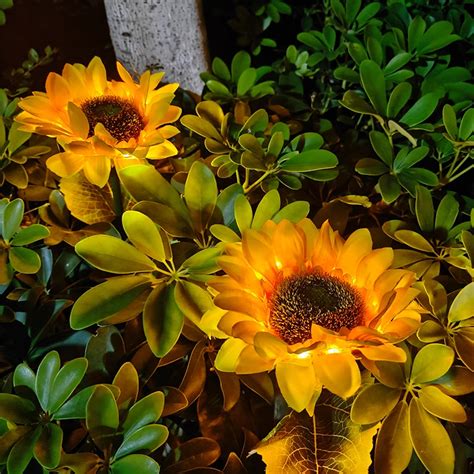Luz Led Solar De Girasoles Luces De Flores Decorativas Para El Hogar