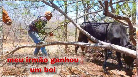 Meu Irmão Ganhou Um Boi O Filme Youtube