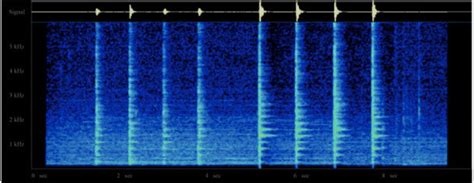 Spectrogram Image In A First Phase The Example Demonstrates The