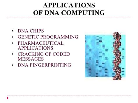 dna computing