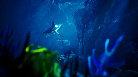 Underwater World 70 Assets Unreal Engine Asset